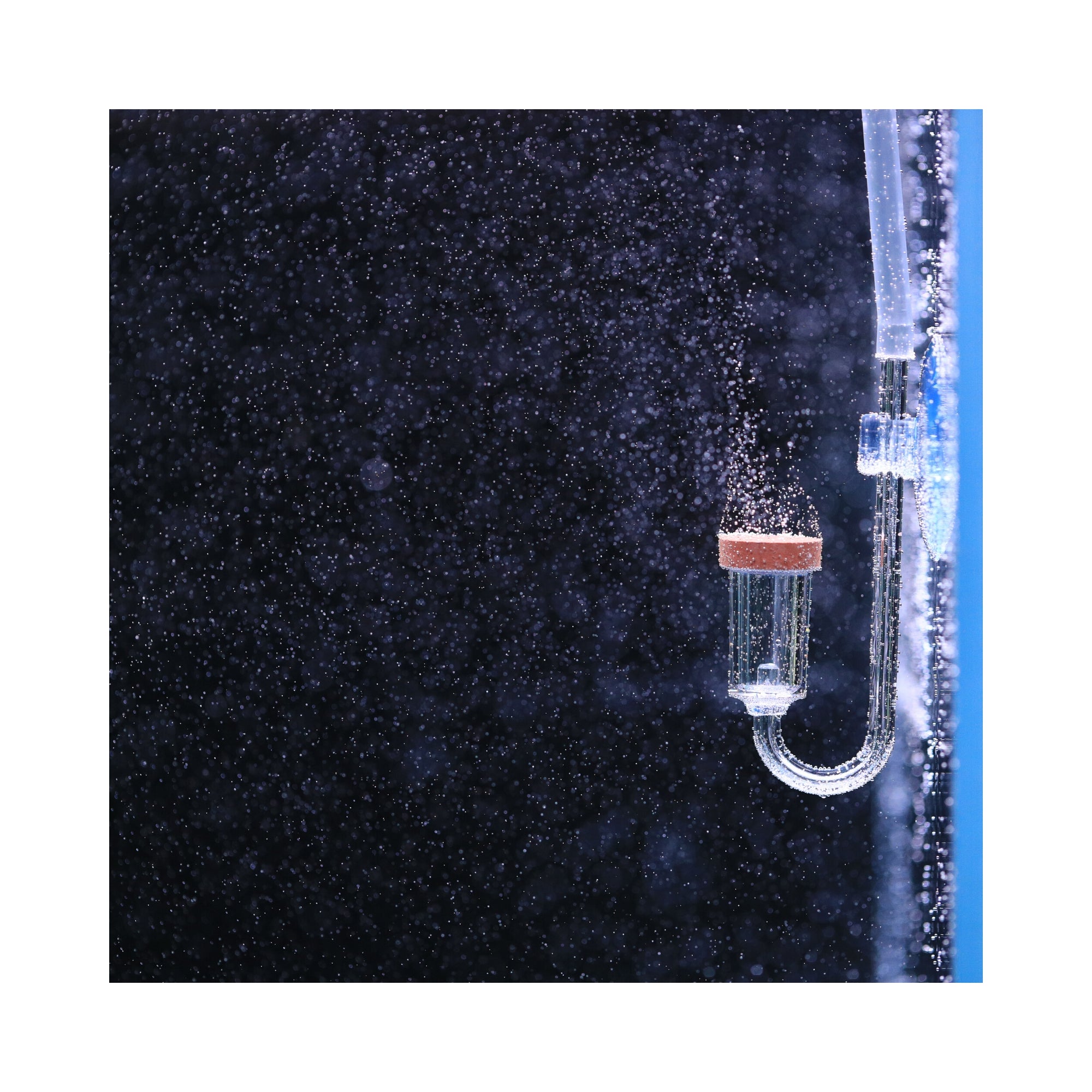 CO2 Diffusers – Botany Way Scapes